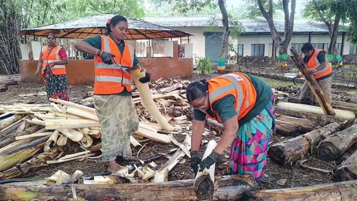 UltraTech’s Project Uday turns banana waste into rural wealth